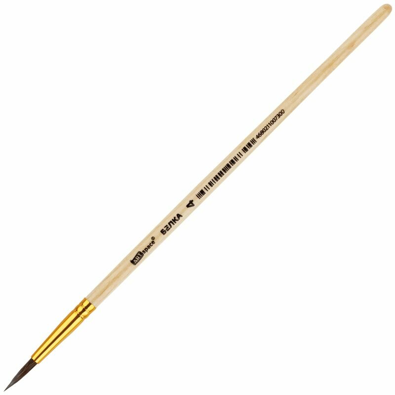 5 кистей ArtSpace "белка" №04 круглая (SH4_2366)