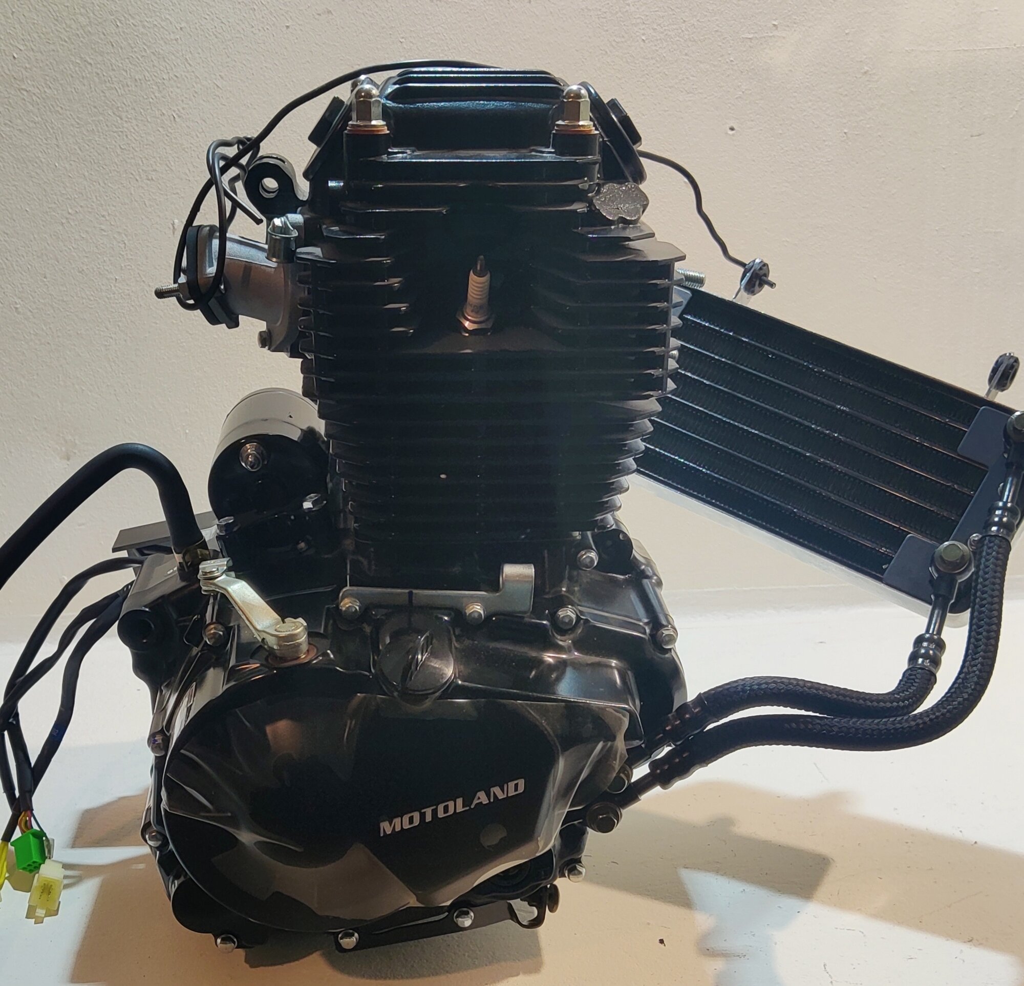 Двигатель 300см3 175FMM R6 (6 скоростей) с масл. охл. Motoland R1 300