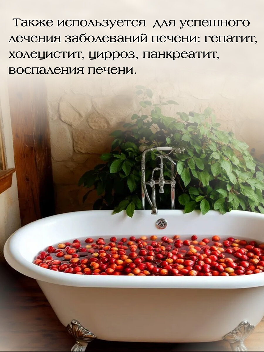 Шиповник сушеный (плоды ) 200 гр. ручной сбор от Данилы Травника — фото 1