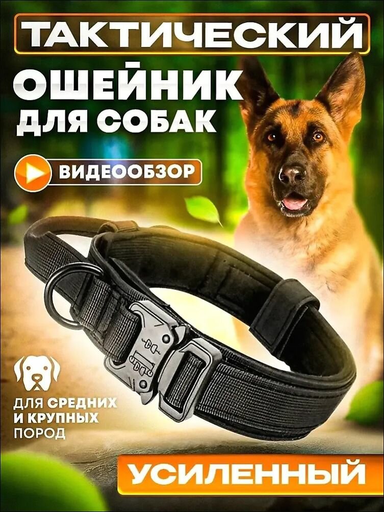 Ошейник тактический, для собак средних и крупных пород, нейлоновый, черный, размер M