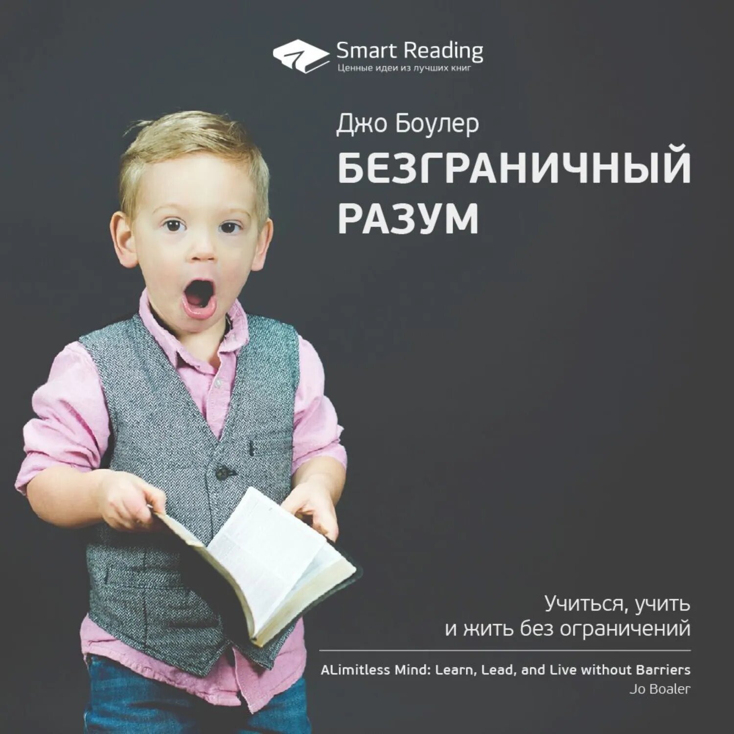 Ключевые идеи книги: Безграничный разум. Учиться, учить и жить без ограничений. Джо Боулер [Аудиокнига]