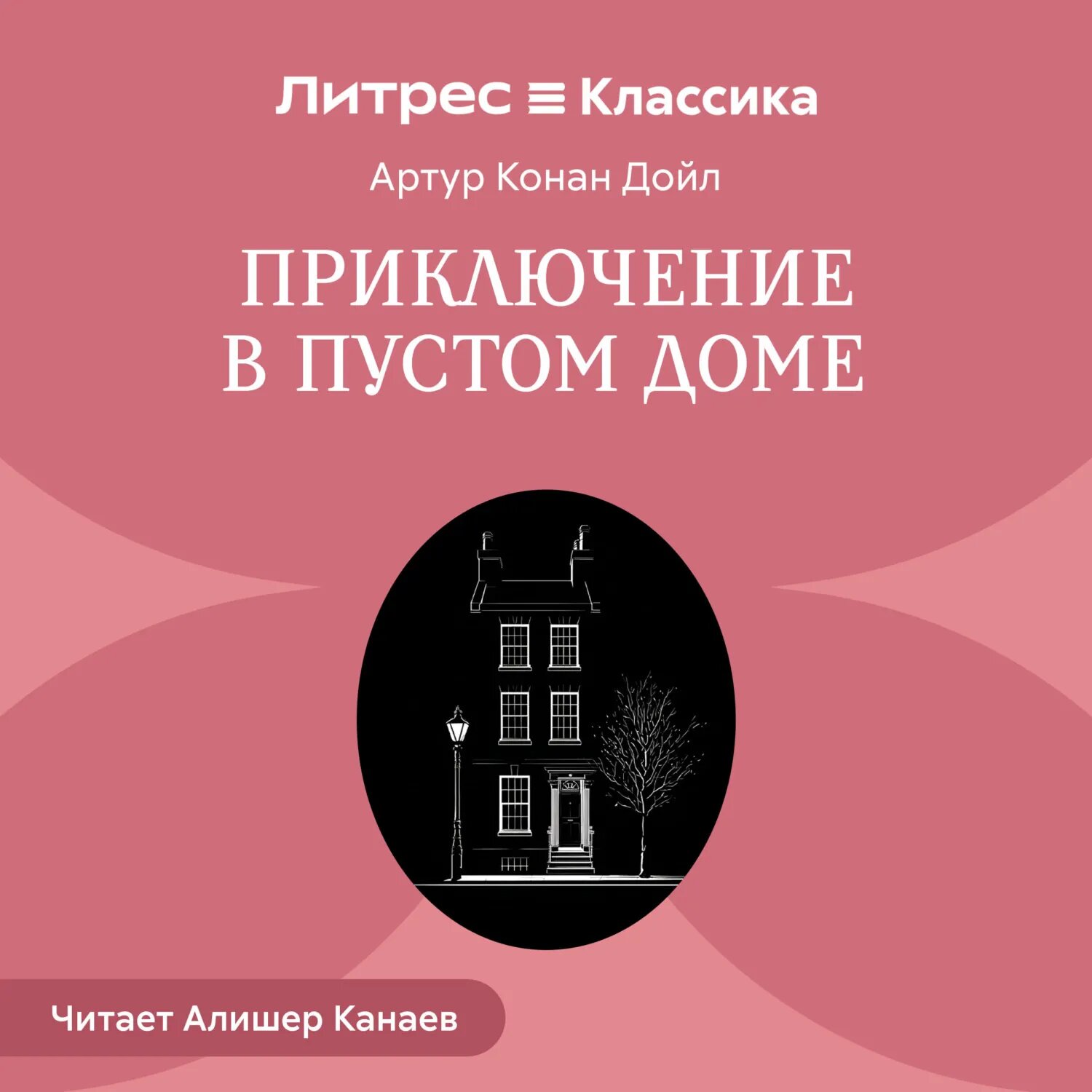 Приключение в пустом доме [Аудиокнига]