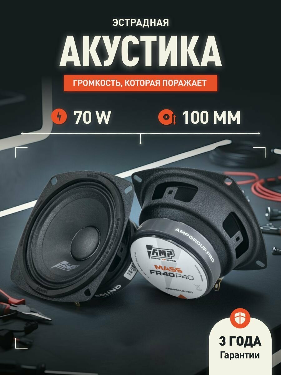 Динамики эстрадные 10 см AMP MASS FR40P40