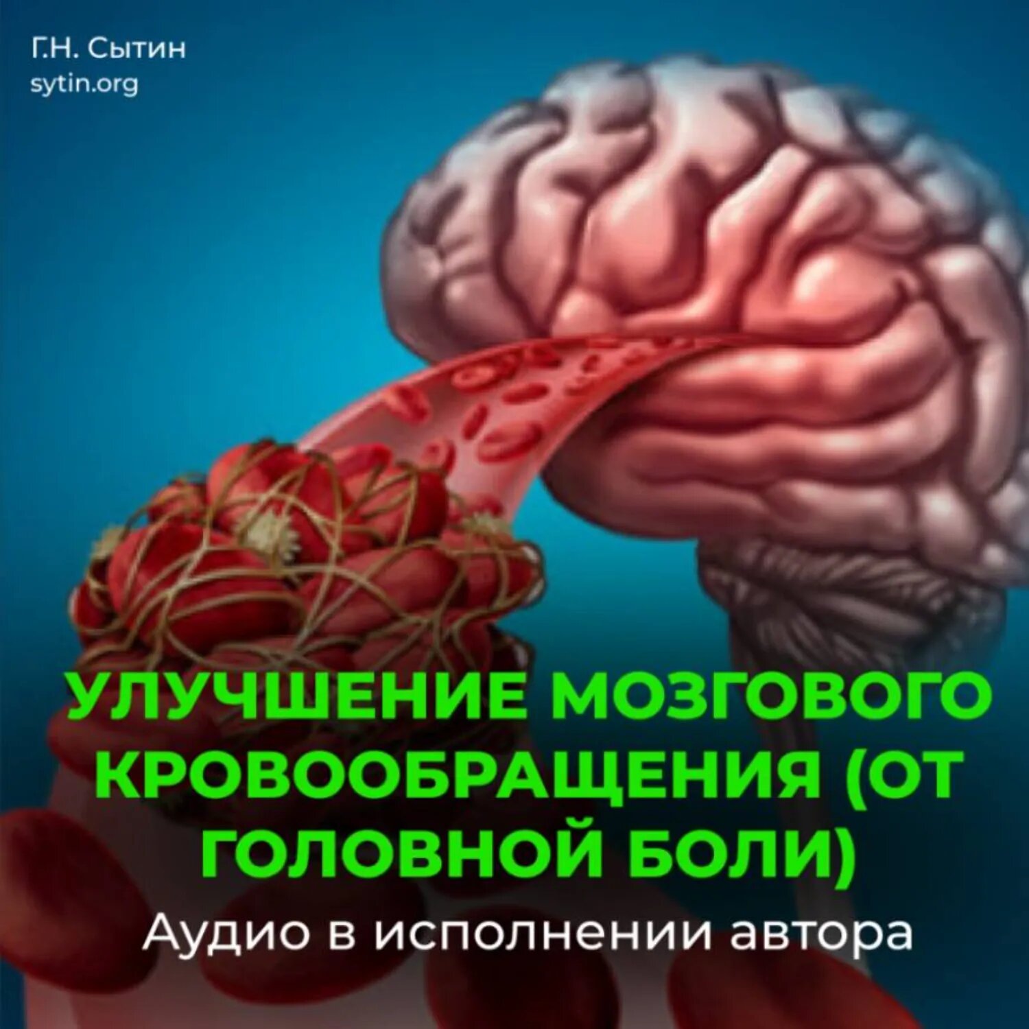 На стабильность артериального давления 120 на 80. Улучшение мозгового кровообращения (от головной боли). На стойкость пульса [Аудиокнига]