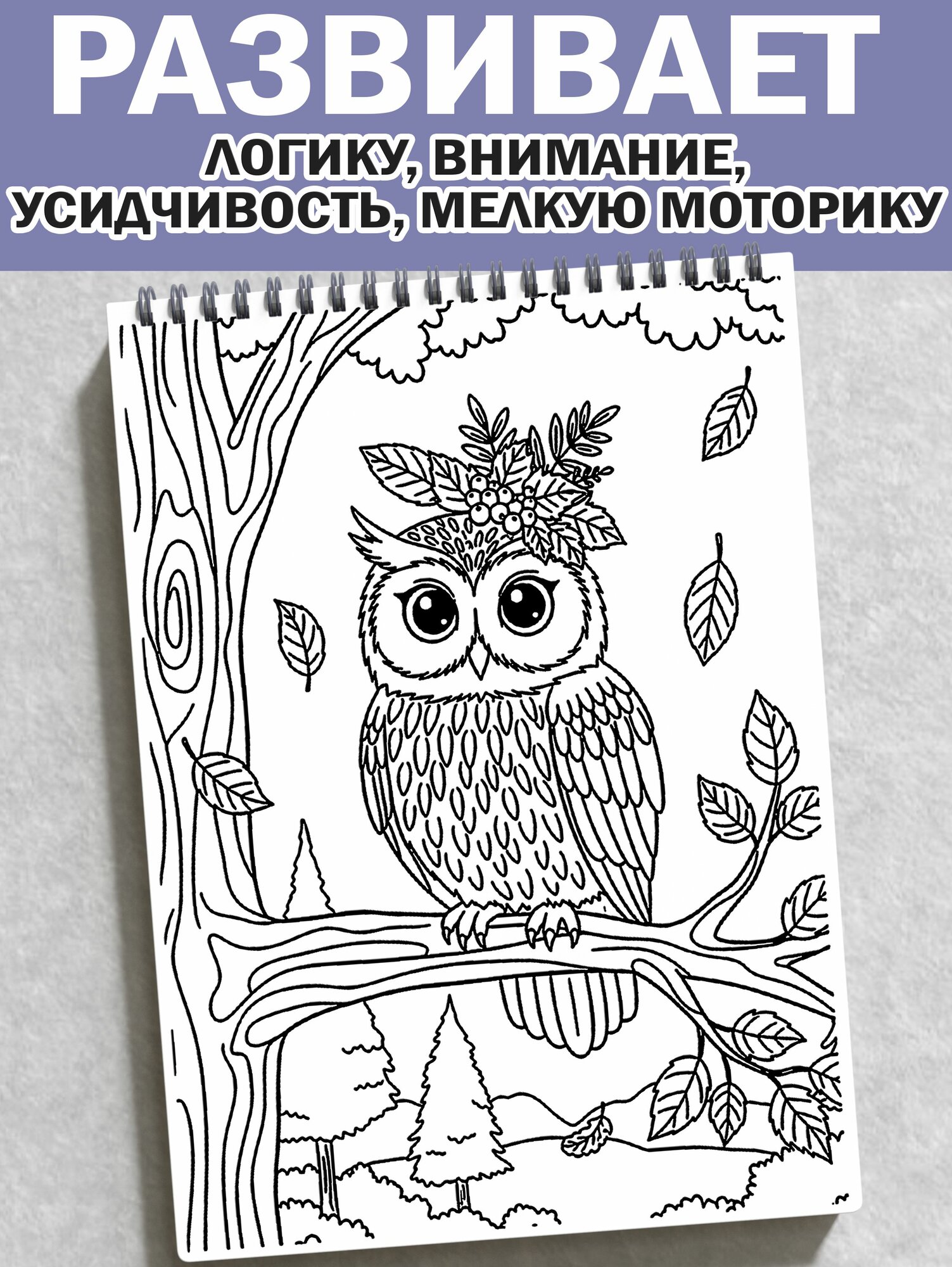 Раскраска Совы — фото 1