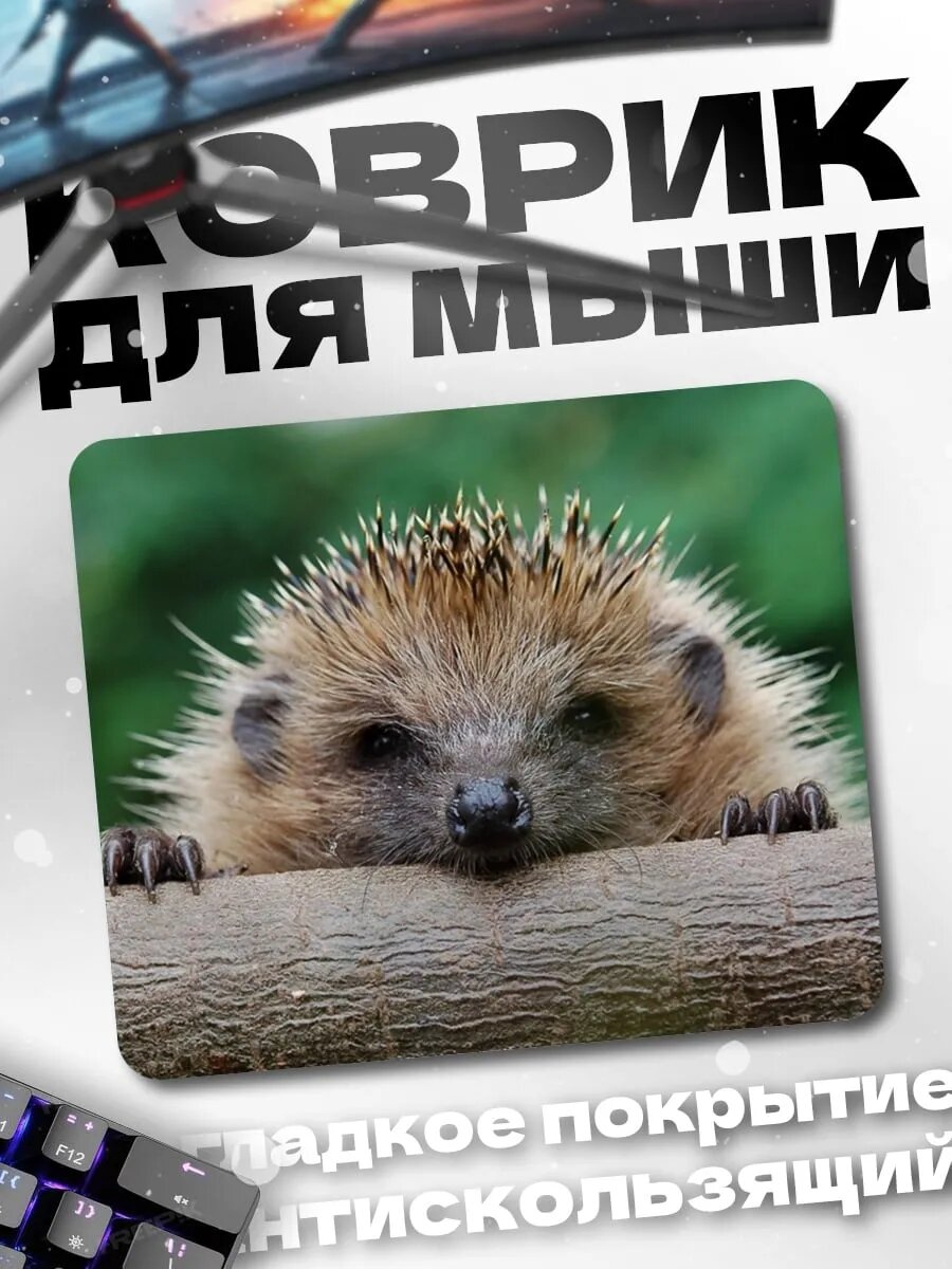 Коврик для мыши Ёжик на ветке
