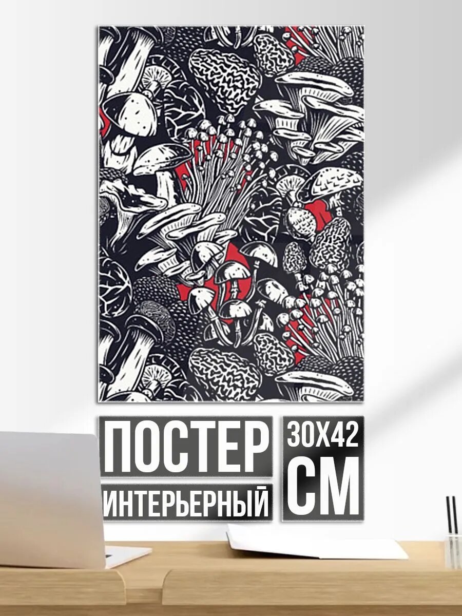 Постер на стену Разные грибы