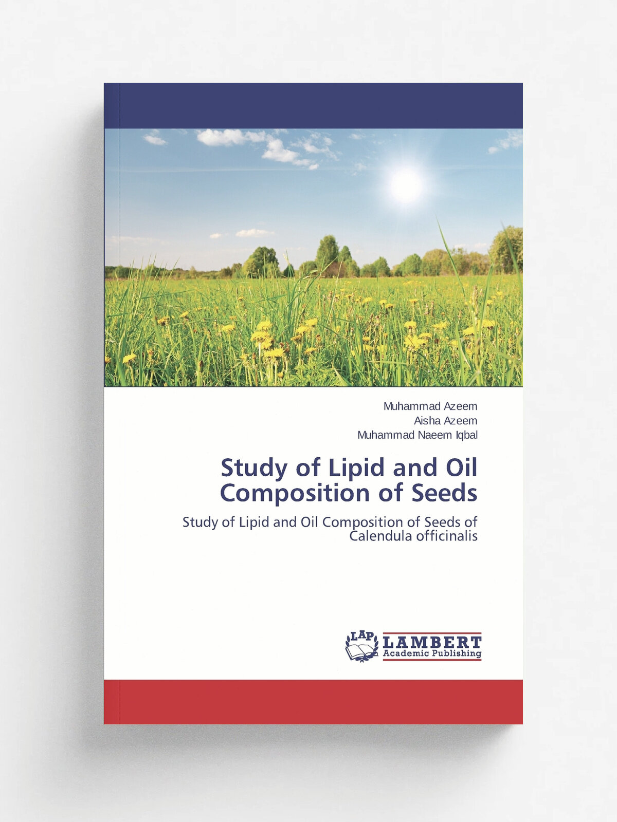 Study of Lipid and Oil Composition of Seeds