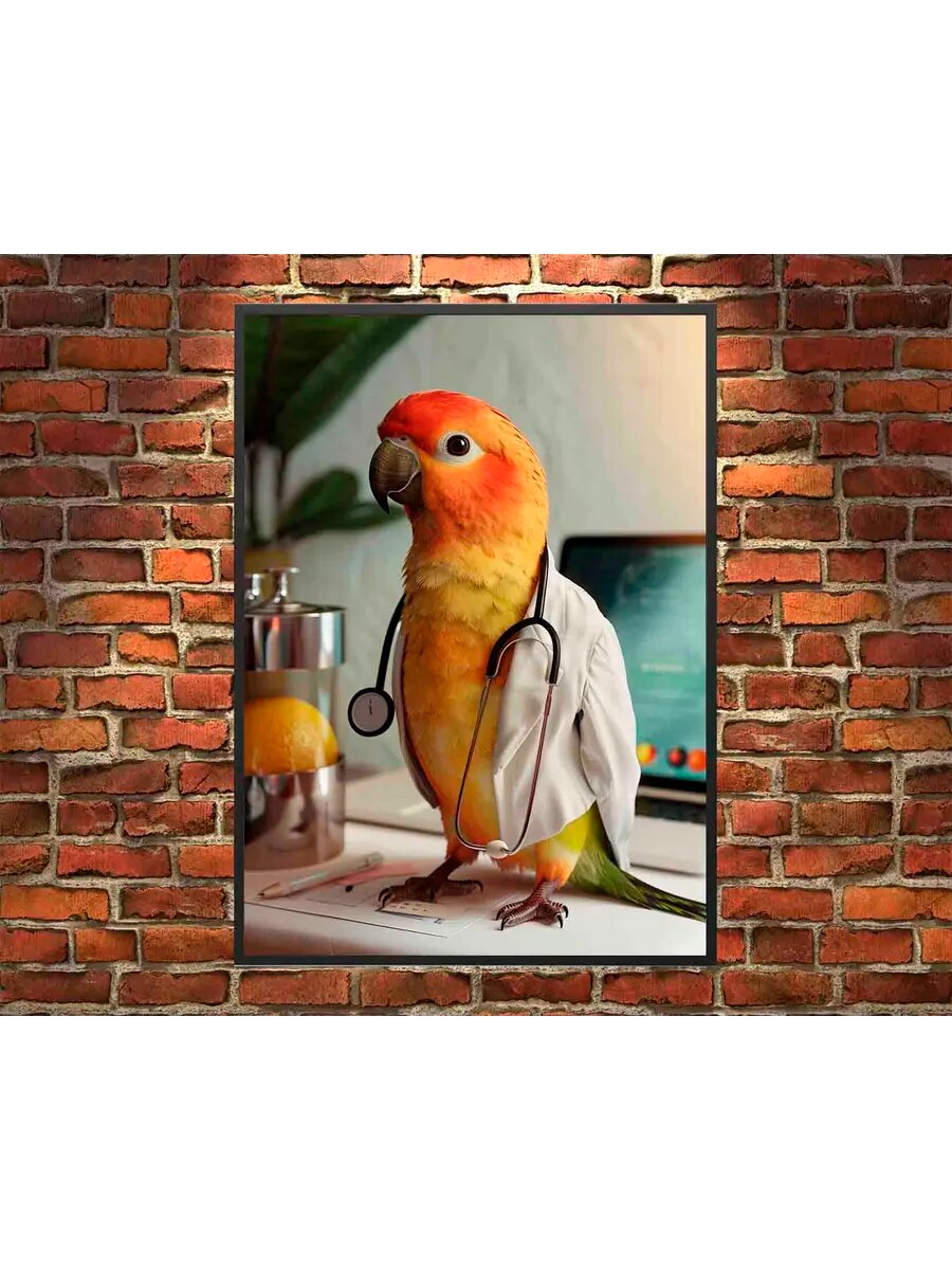 Неразлучник Птичий доктор 3, Плакат 30x42см
