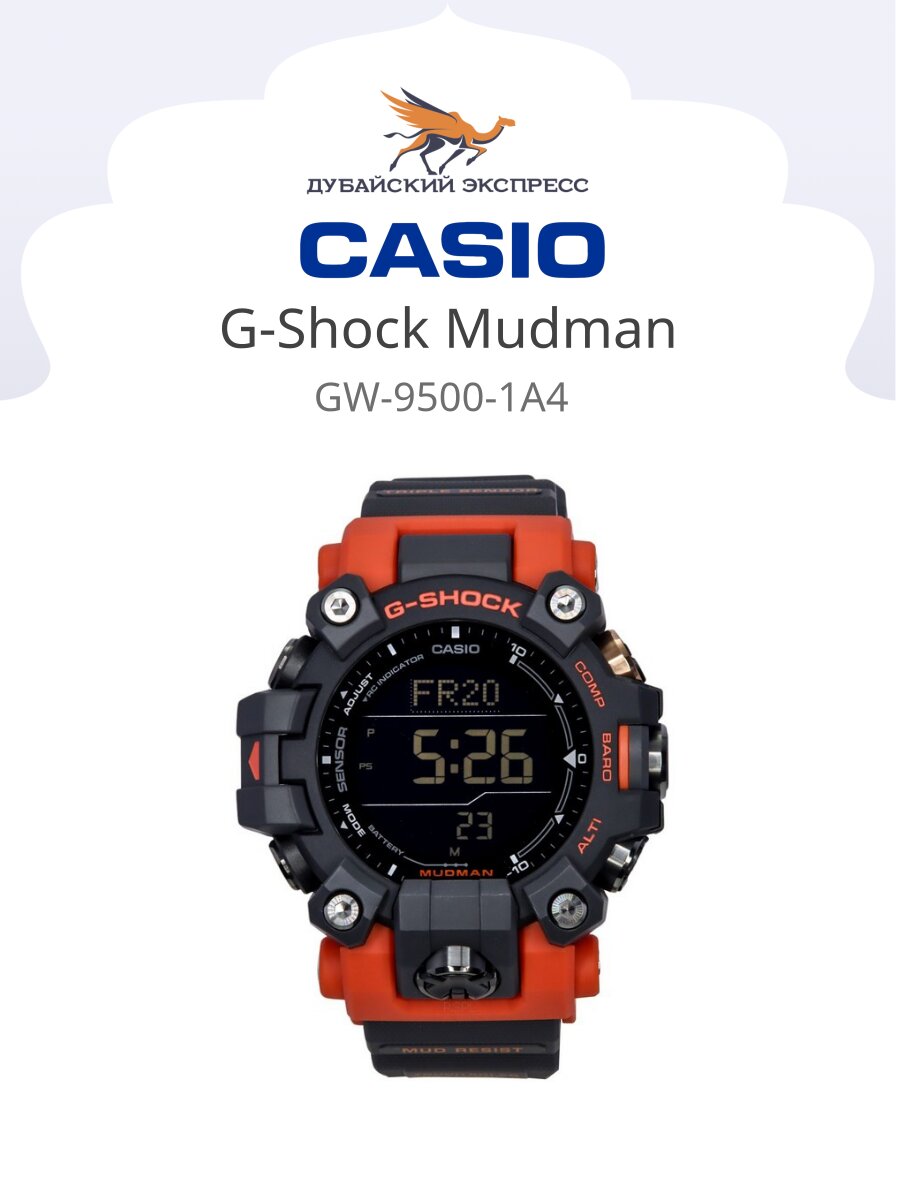  CASIO