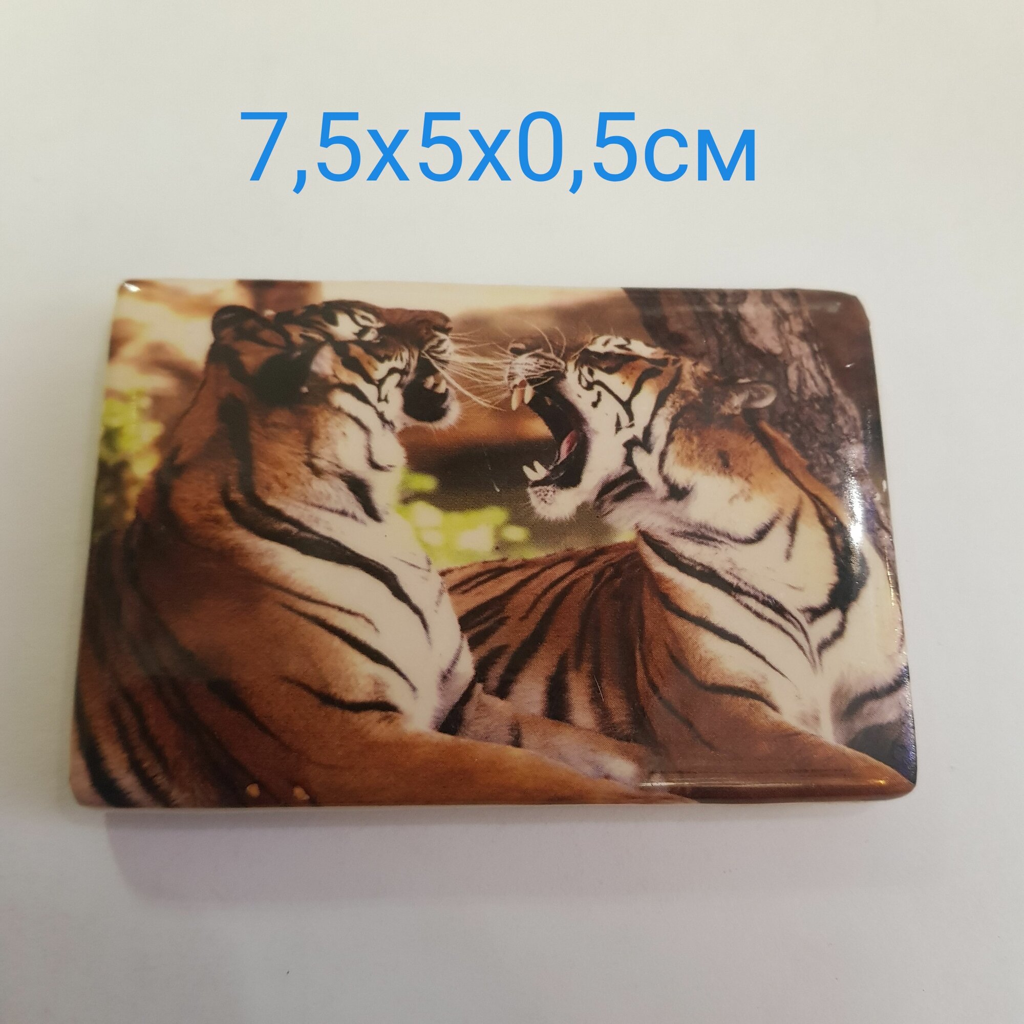 Изделие декоративное Магнит "Тигры" 7,5х5х0,5см, керамика, 3488Л