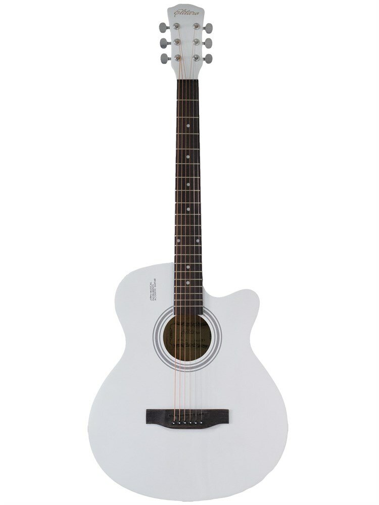 Акустическая гитара Elitaro E4010C WH