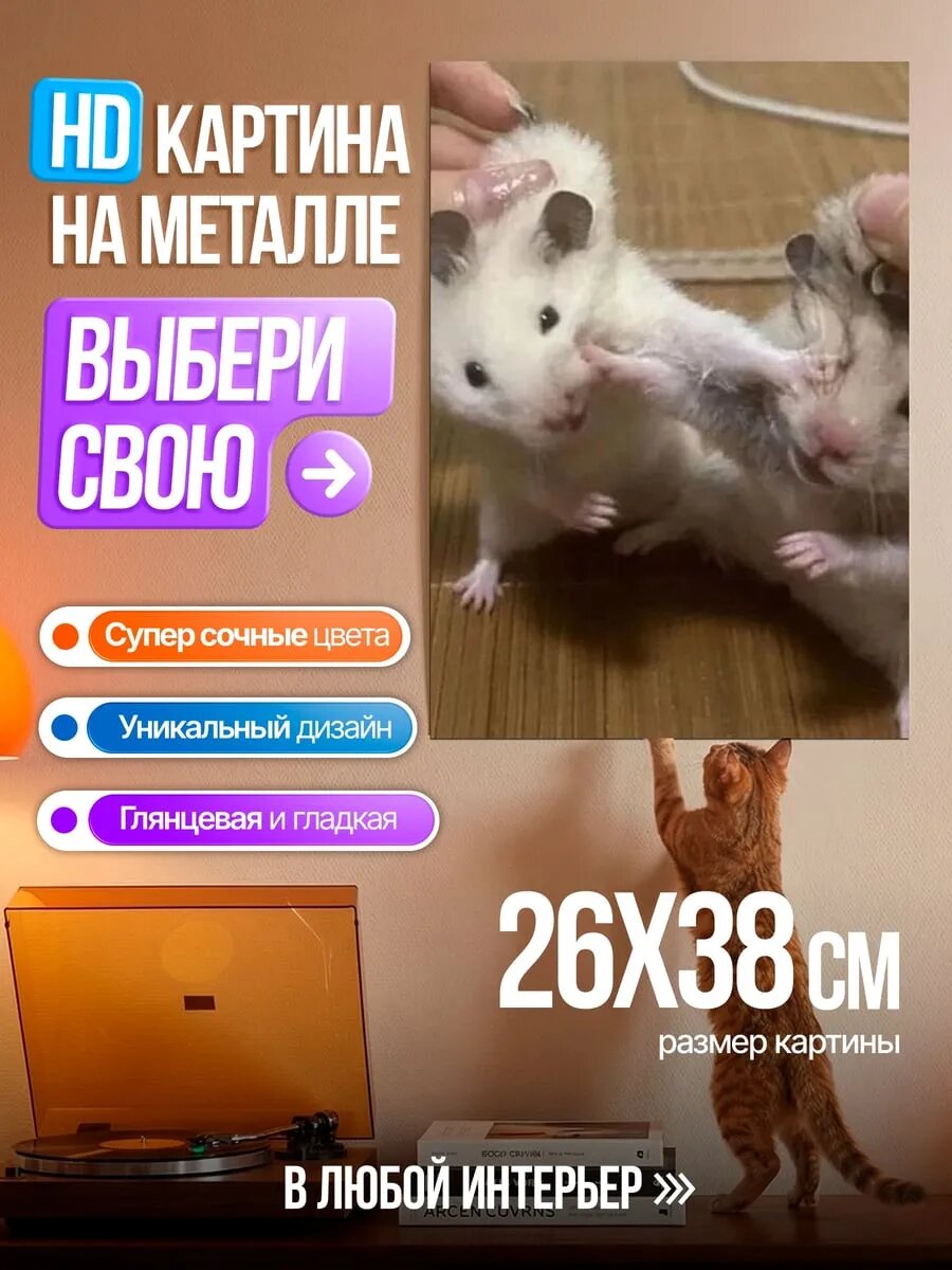 Картина на HD металле Два хомяка