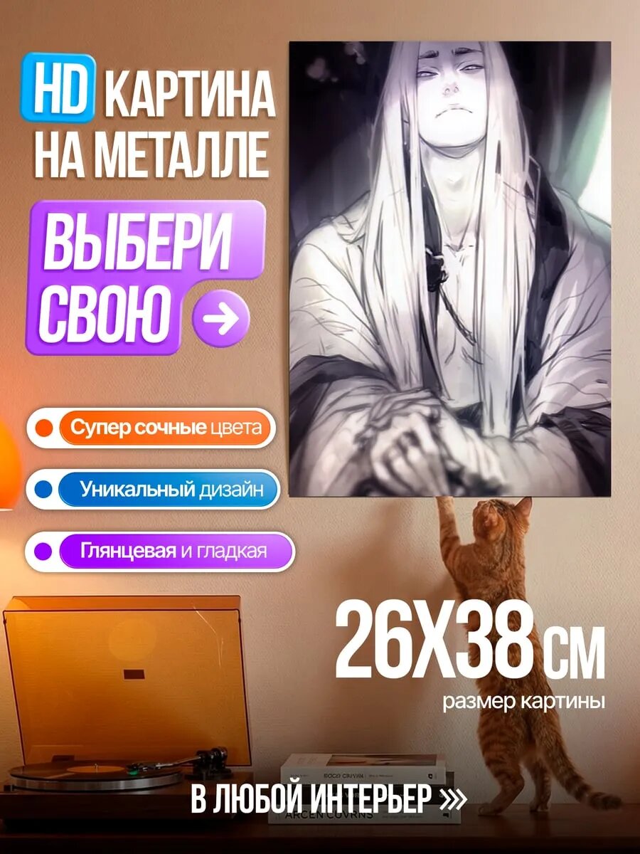 Картина на HD металле Длинноволосый маг