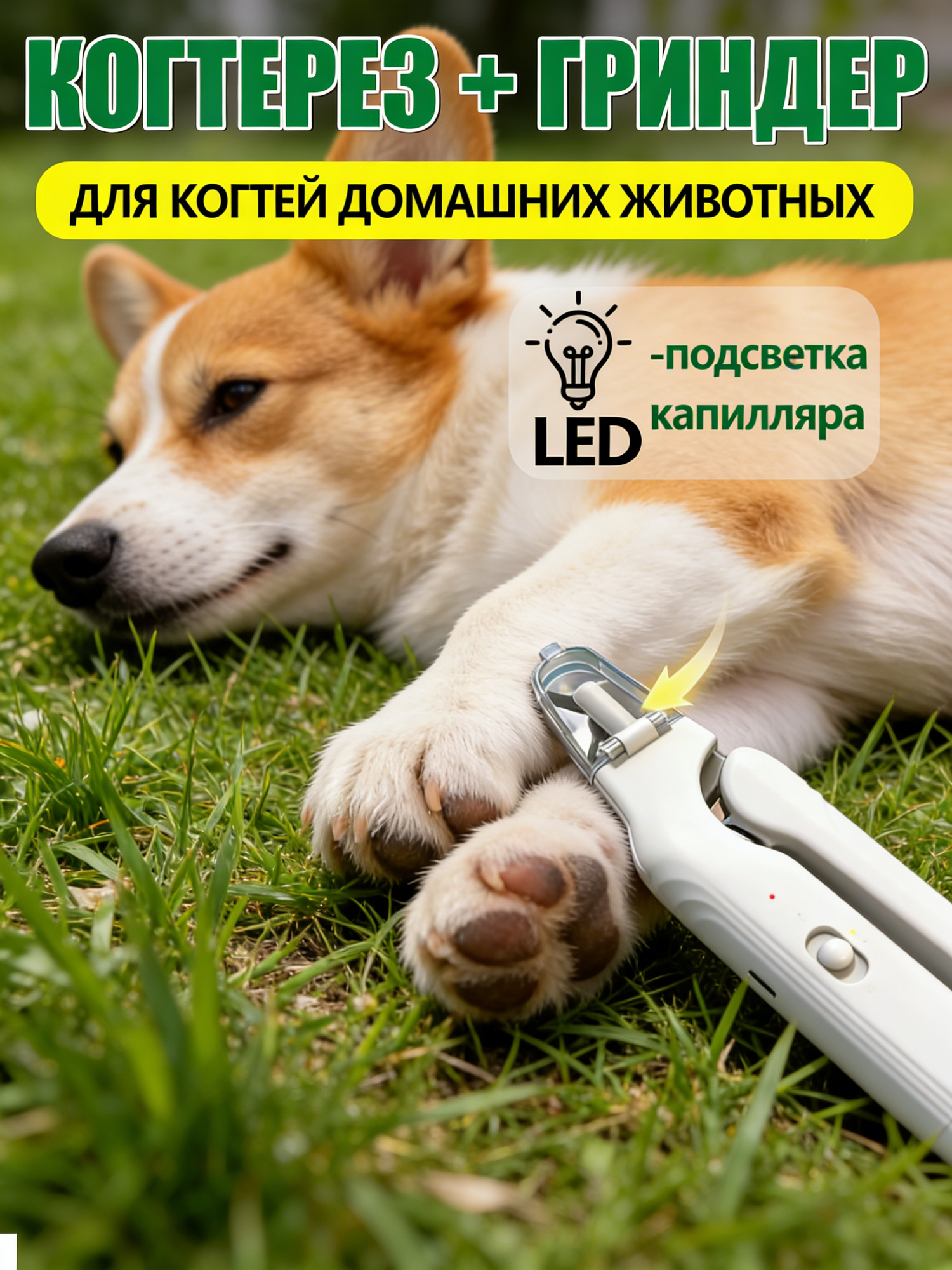Когтерезка для кошек с ограничителем безопасная с подсветкой