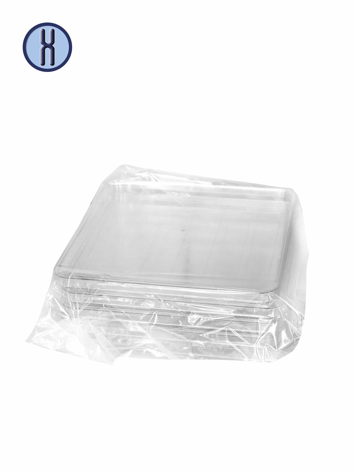 Чашки Петри квадратные 243 x 243 x 19,3 мм стерильные, Упаковка (5 шт.) SPL Lifesciences 10245
