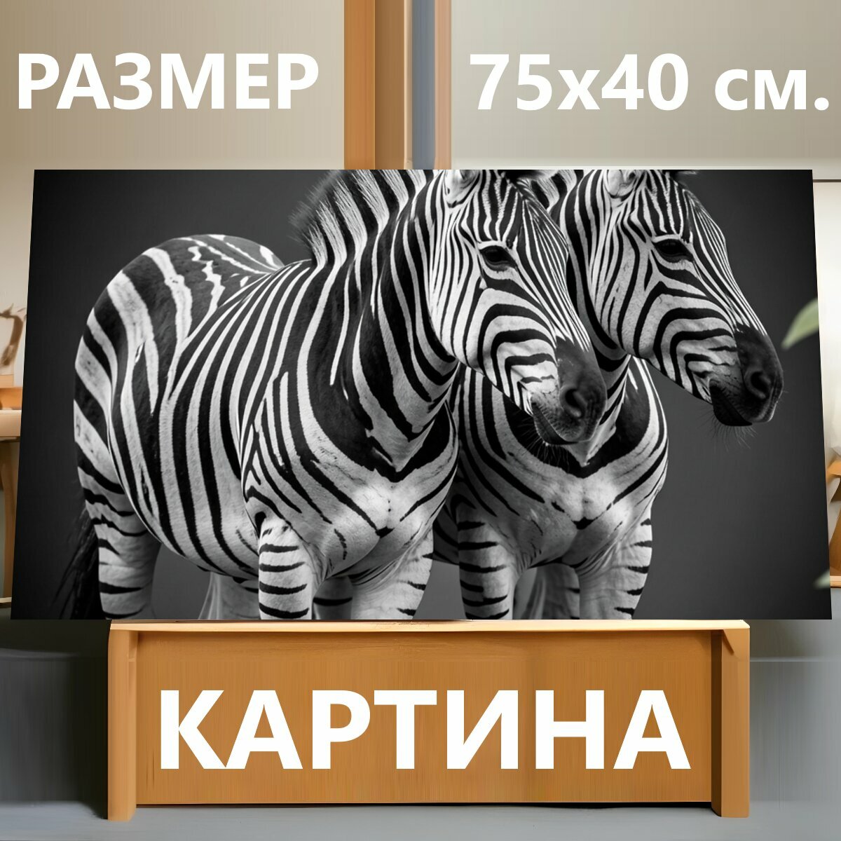 Картина на холсте "Две зебры на фоне темного фона. Чёрно-белая анималистическая сцена с парой африканских полосатых лошадей в траве." на подрамнике 75х40 см. для интерьера