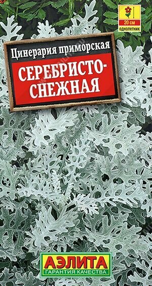 Семена Цинерария приморская "Серебристо-снежная" однолетник "Аэлита"
