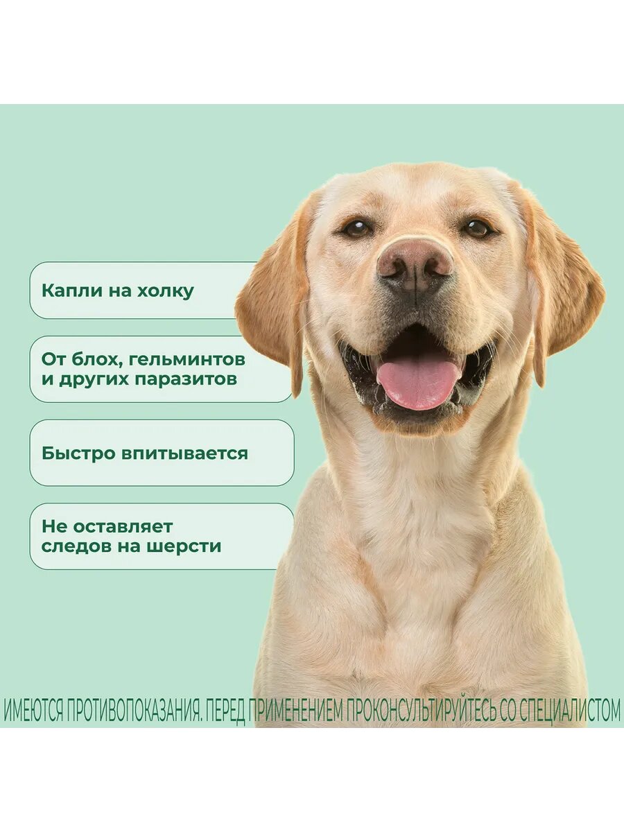 KRKA Селафорт Капли для собак 20,1-40кг, 2мл, от блох, клещей и гельминтов — фото 1