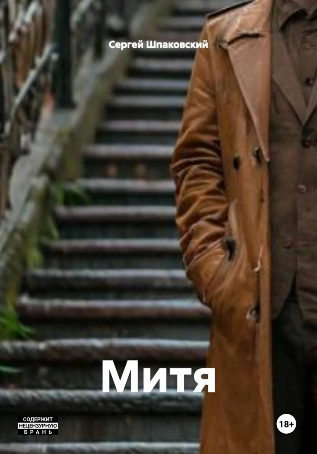 Митя [Цифровая книга]