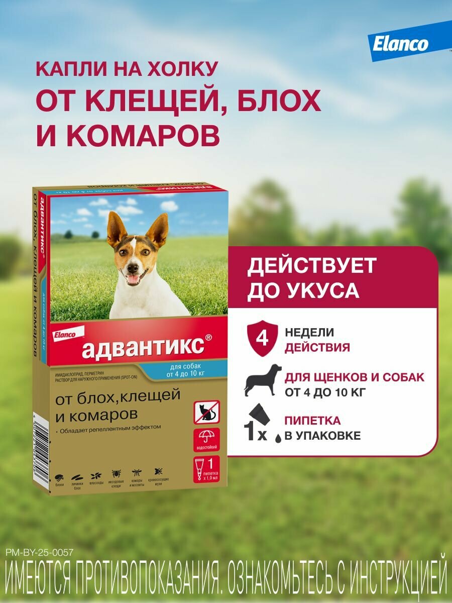 Адвантикс для собак от 4 до 10 кг для защиты от блох, иксодовых клещей и летающих насекомых и переносимых ими заболеваний. 1 пипетка в упаковке.