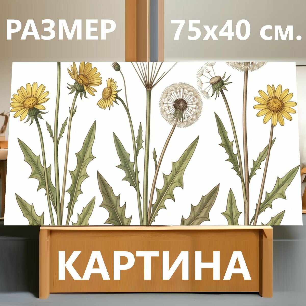 Картина на холсте "Полевые одуванчики и ромашки. Нежная ботаническая композиция с жёлтыми полевыми цветами и пушистыми семенными головками." на подрамнике 75х40 см. для интерьера