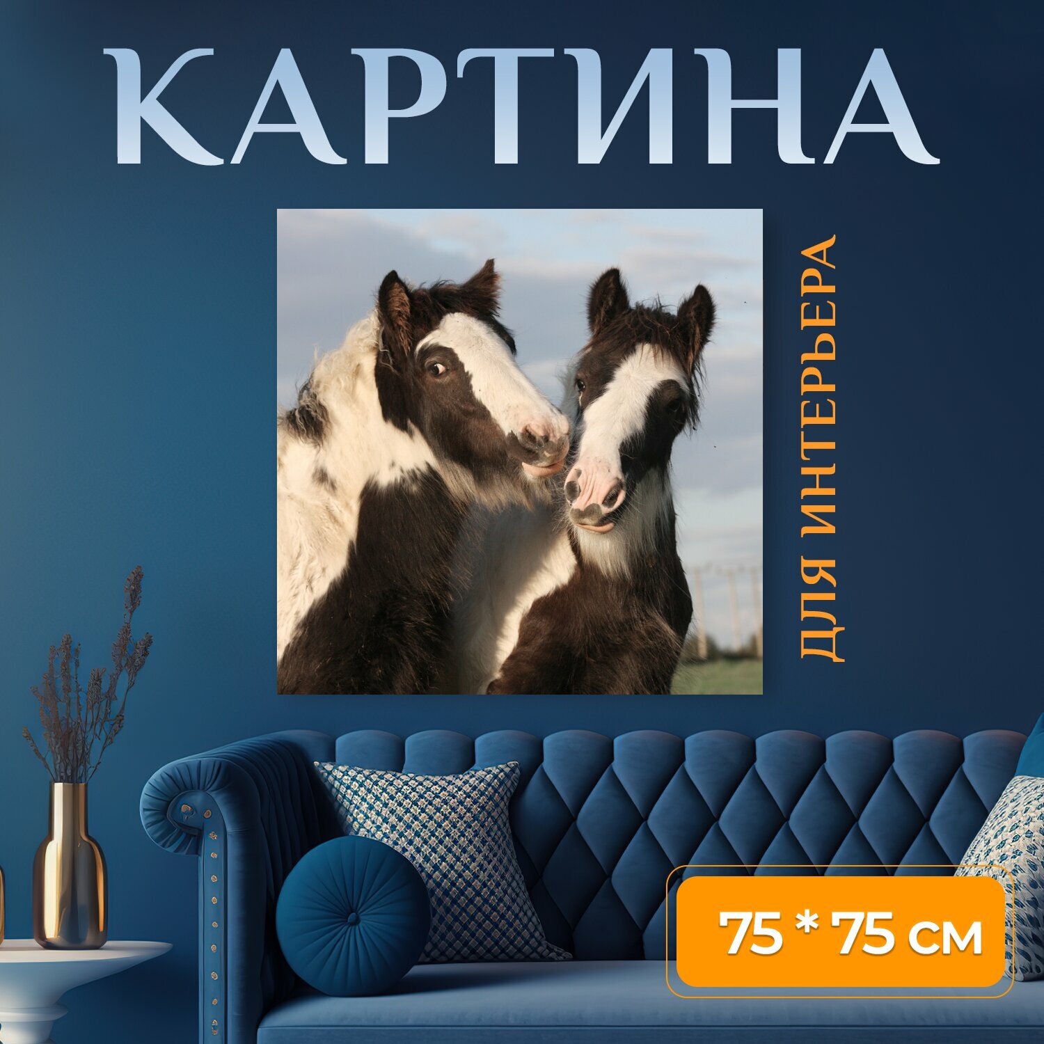 Картина на холсте "Лошадь, цыганский конь, животное" на подрамнике 75х75 см. для интерьера