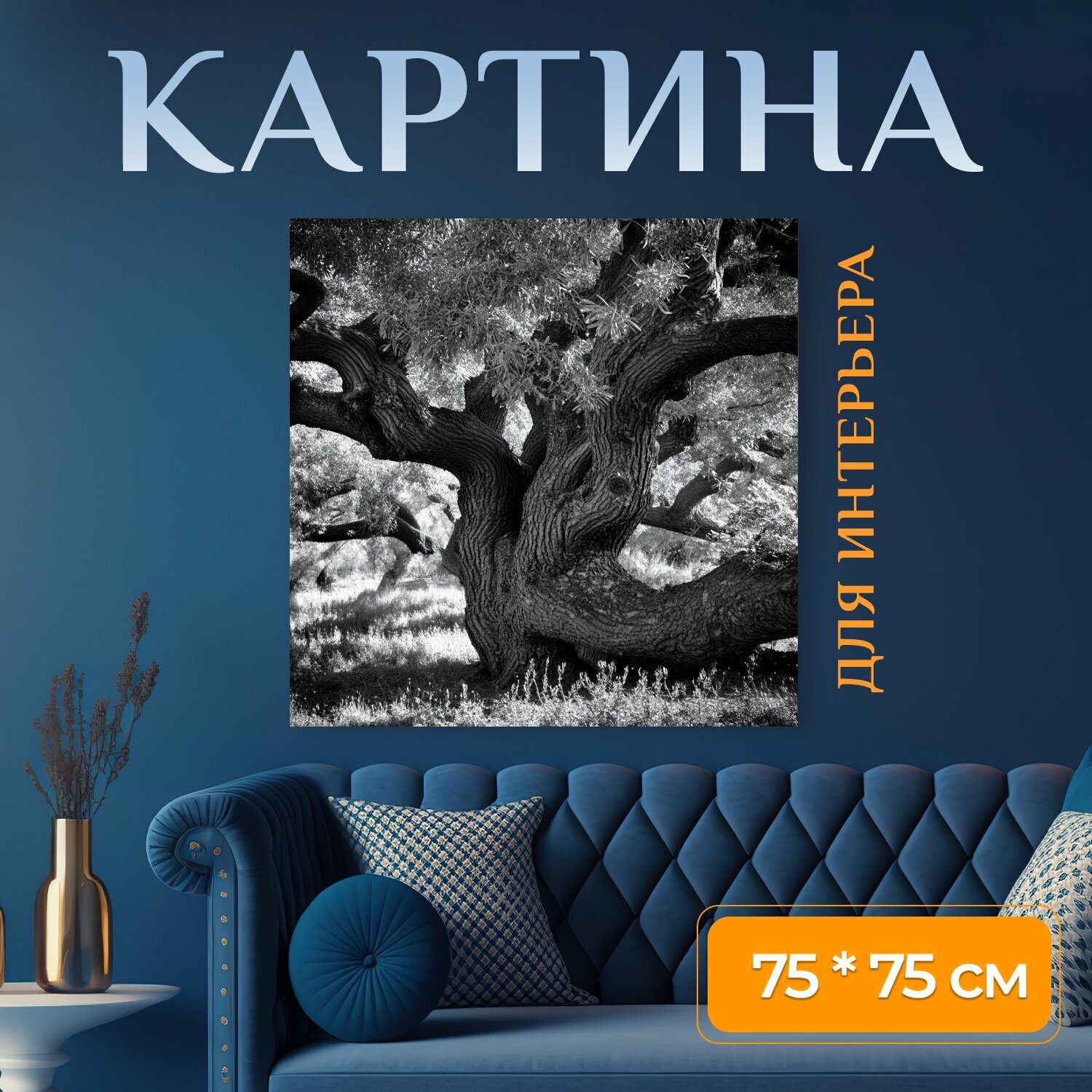 Картина на холсте "Прованс: старинные оливковые деревья с изогнутыми стволами, спрятанные среди зелени. стиль: фотография в черно-белом с." на подрамнике 75х75 см. для интерьера