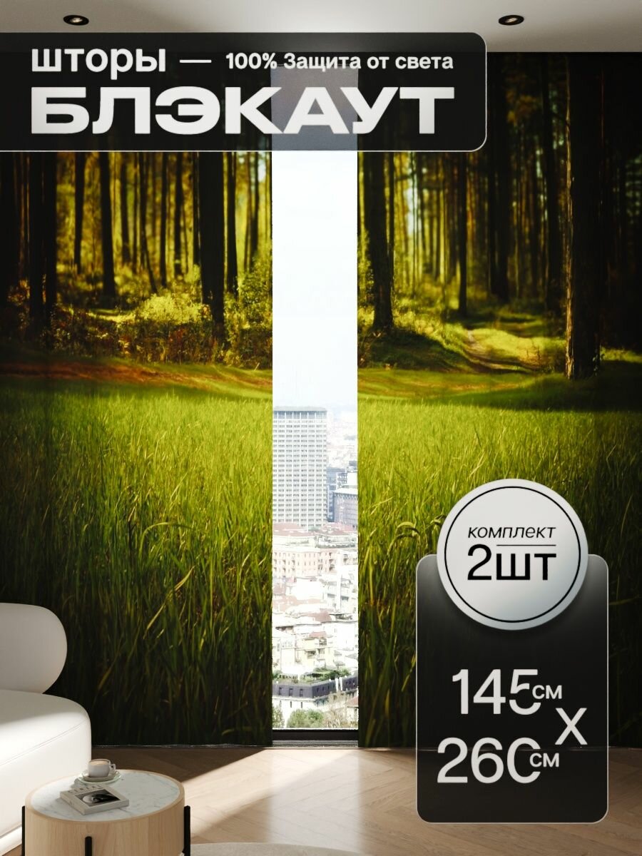 Шторы блэкаут 145x260 см 2 шт на окна плотные комплект