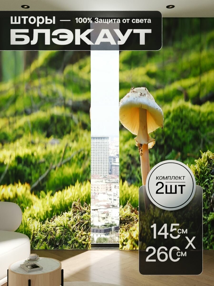Шторы блэкаут 145x260 см 2 шт на окна плотные комплект
