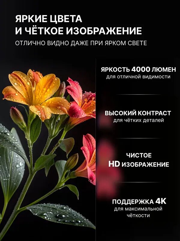 Гобо-проектор Проектор для фильмов, черный, серый