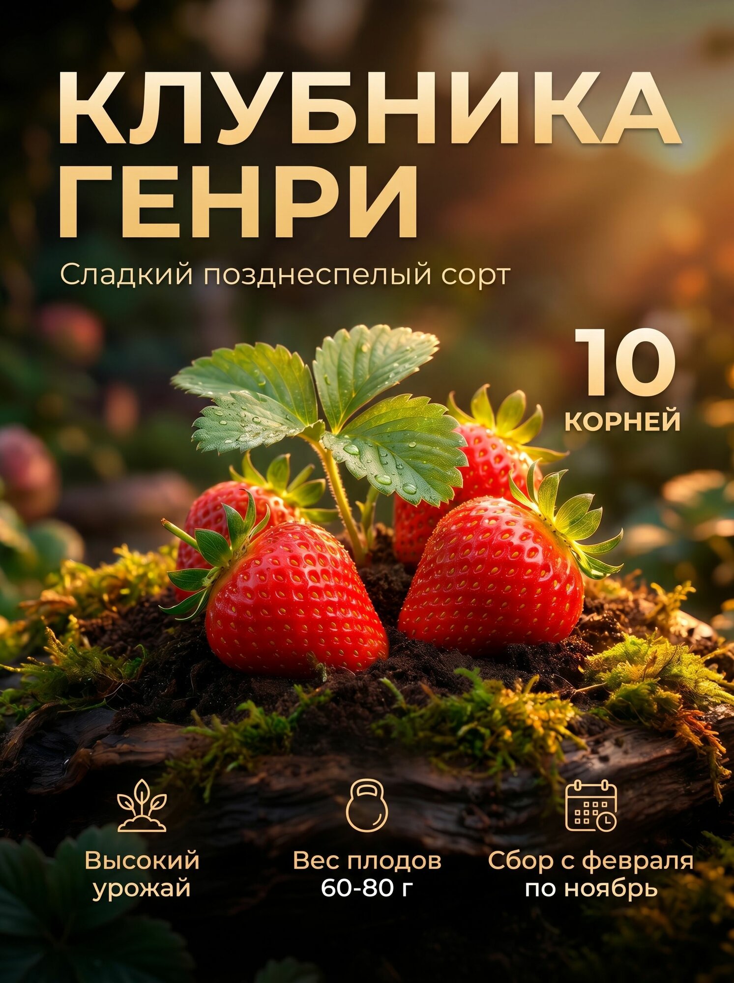 Саженцы клубники Генри 10-Шт