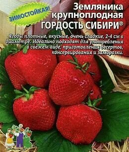 Семена Земляника Гордость сибири - крупноплодная Уральский дачник