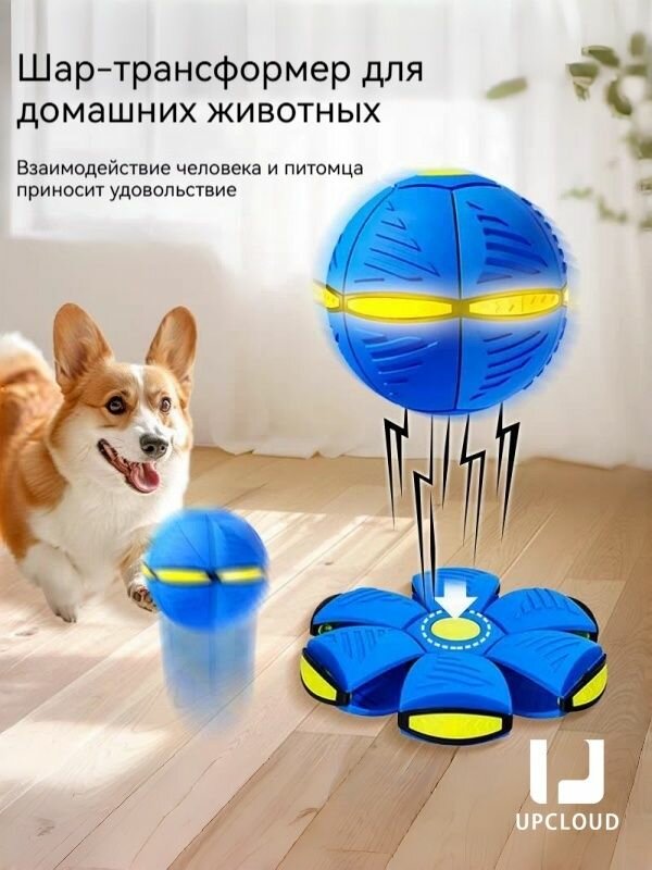 Игрушки для домашних животных, Деформационный шар Нло, UPCLOUD Прыгающие игрушки+синий