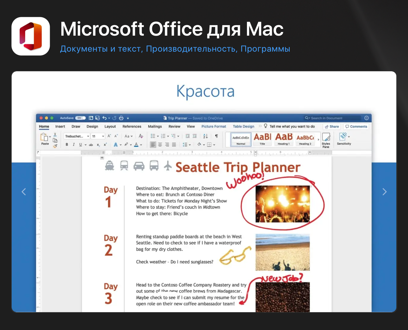 Microsoft Office на Mac: Word, Excel, PowerPoint, Outlook, OneNote и OneDrive. Файл для скачивания
