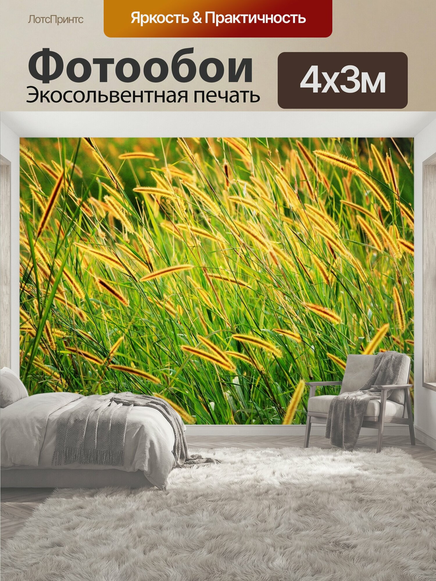 Фотообои "Семян трав, золотые семена, длинные семена" 400x300 см. экосольвентная печать