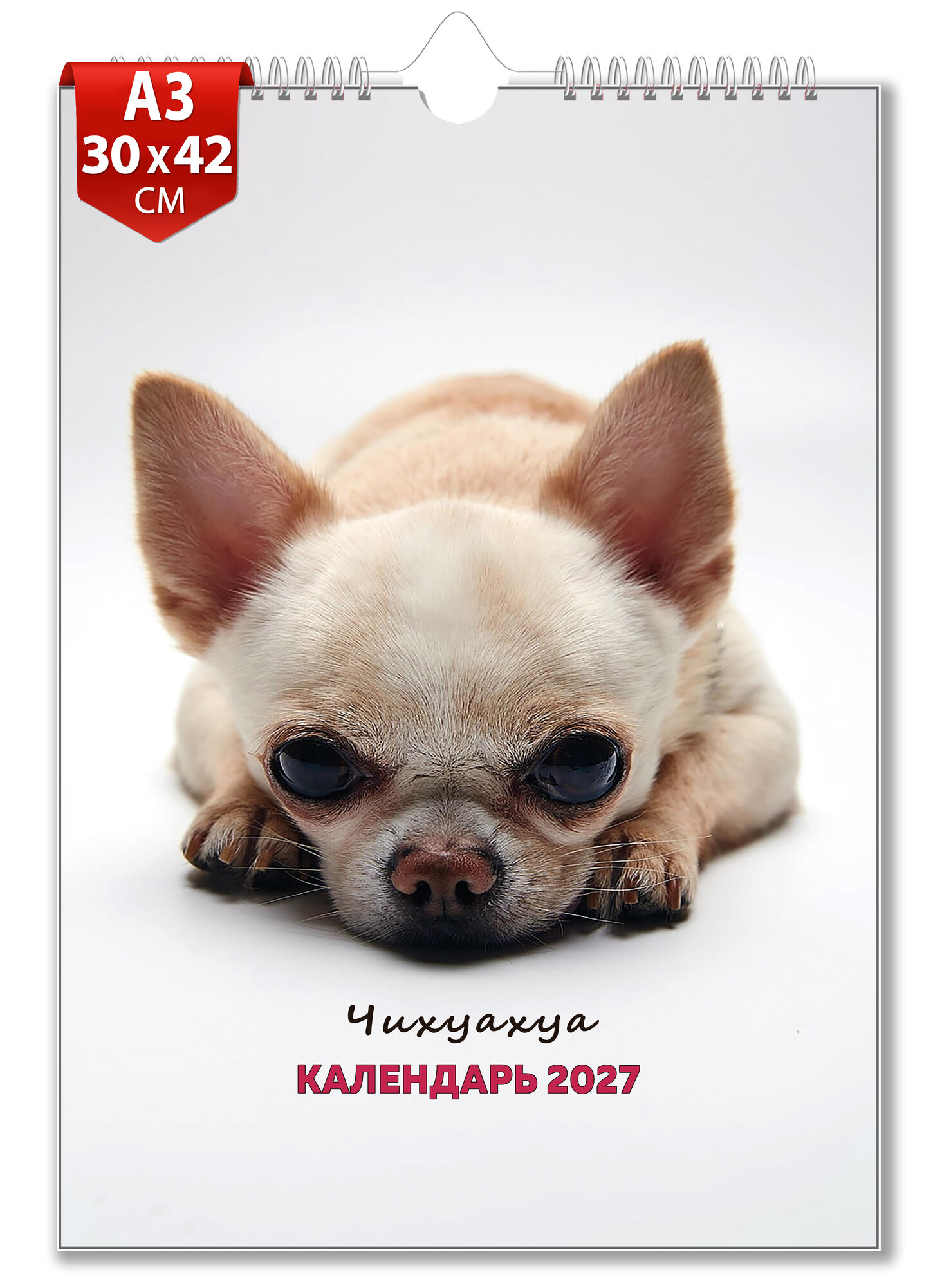 Настенный перекидной календарь 2027 Чихуахуа А3 (29,7 х 42 см)