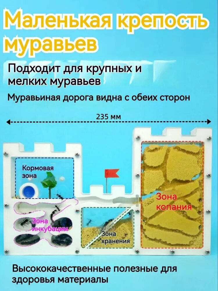 Большая прозрачная ферма для муравьёв Mister Ant