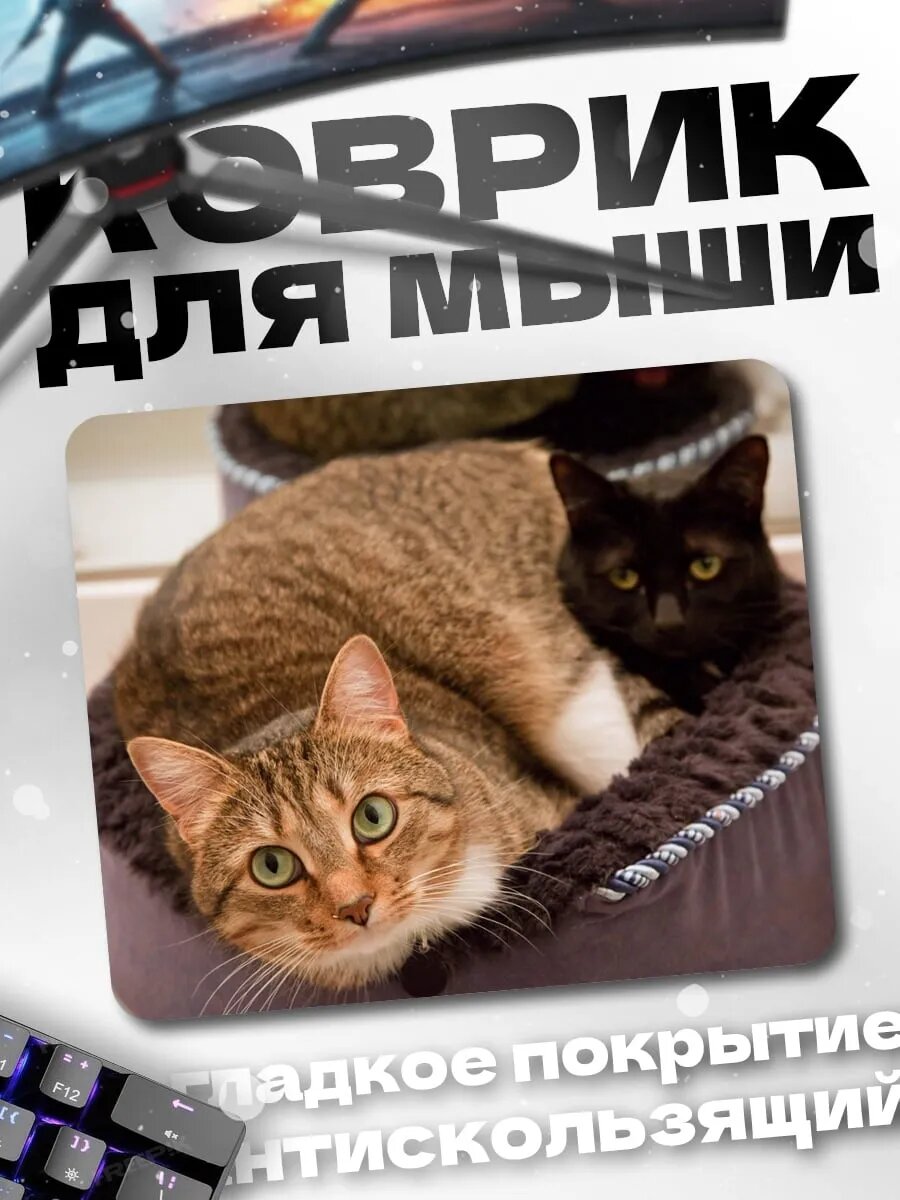Коврик для мыши два кота лежанка