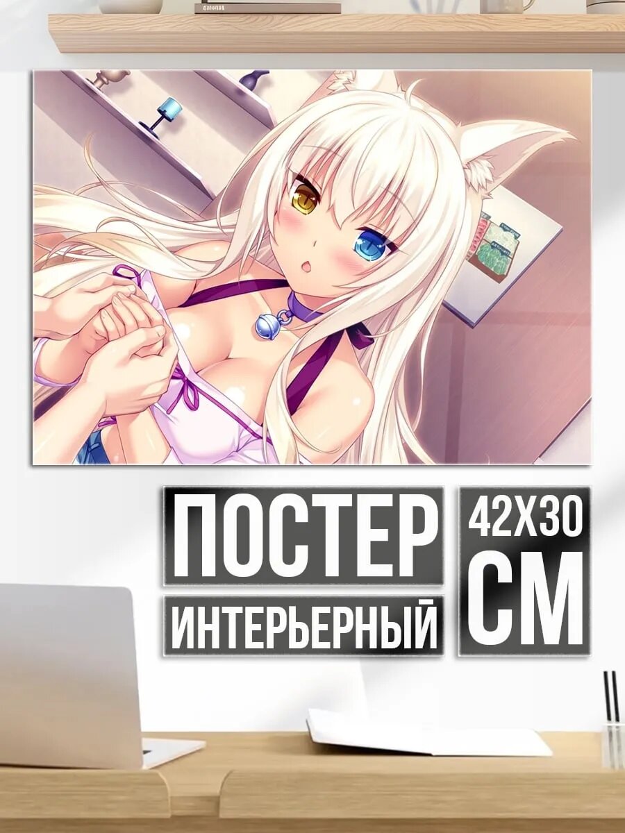 Плакат постер Кошка девушка аниме