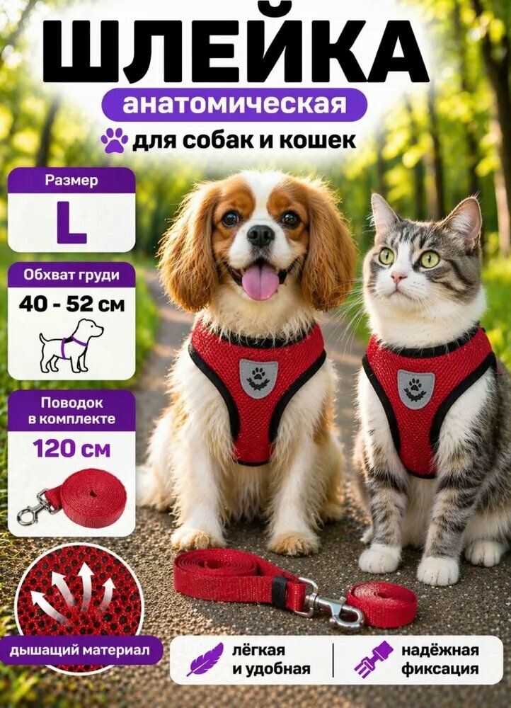Шлейка для собак и кошек с поводком
