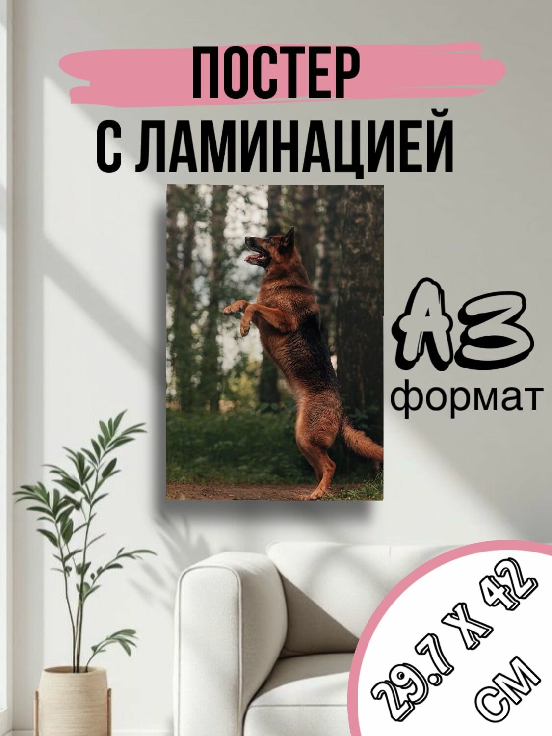 Постер