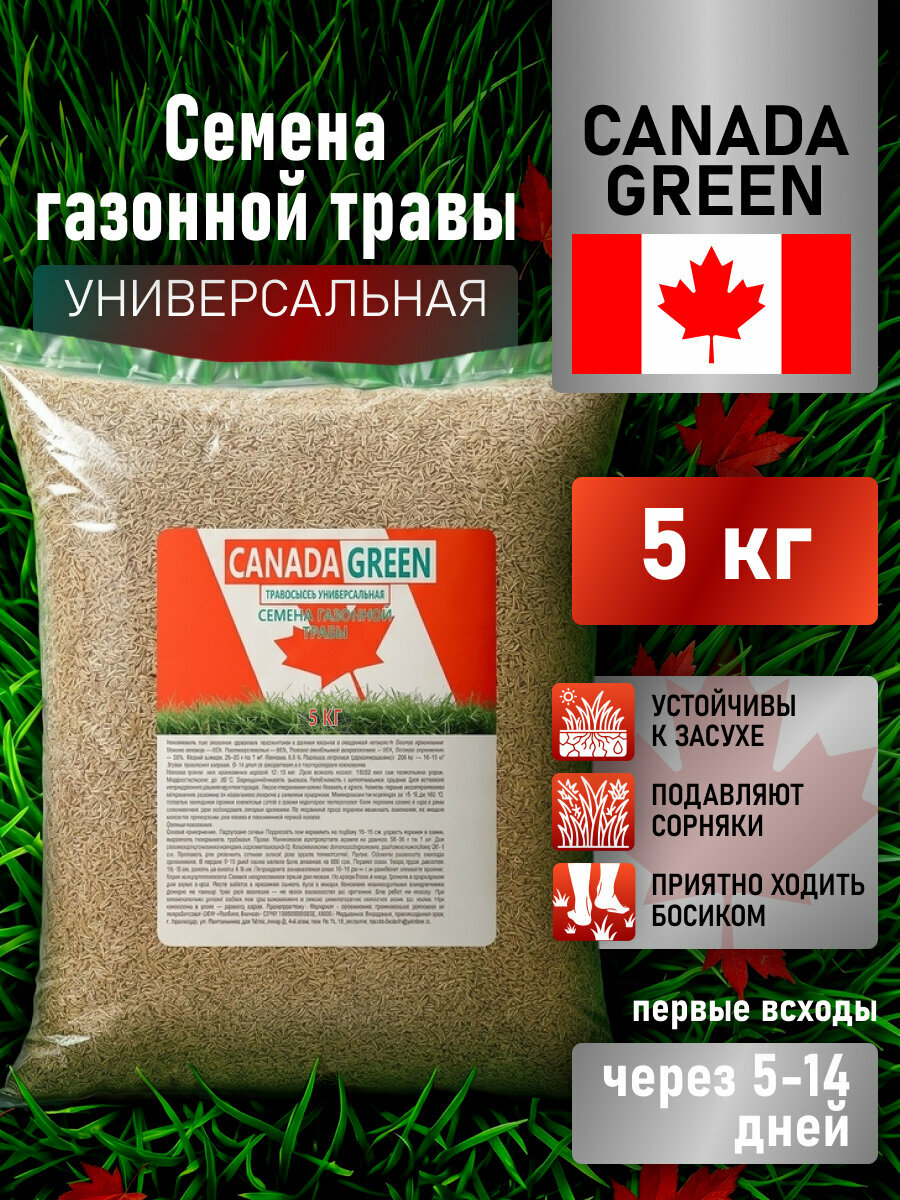 Газонная трава Канада Грин универсальная 5 кг многолетняя смесь для дачи и дома