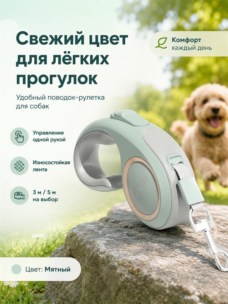 Поводок