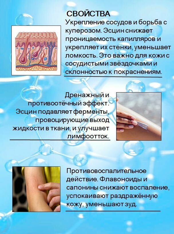 Экстракт каштана (масляный) 50 гр. — фото 1