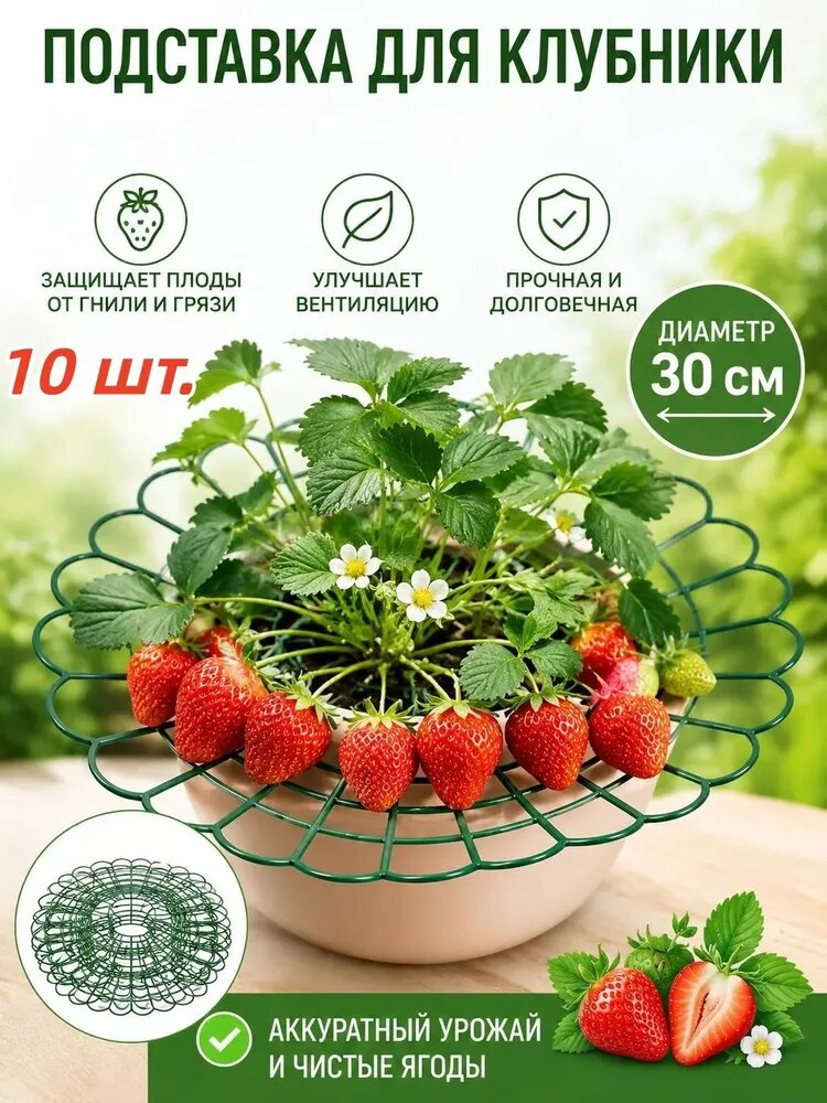 Шпалера,14см,10шт