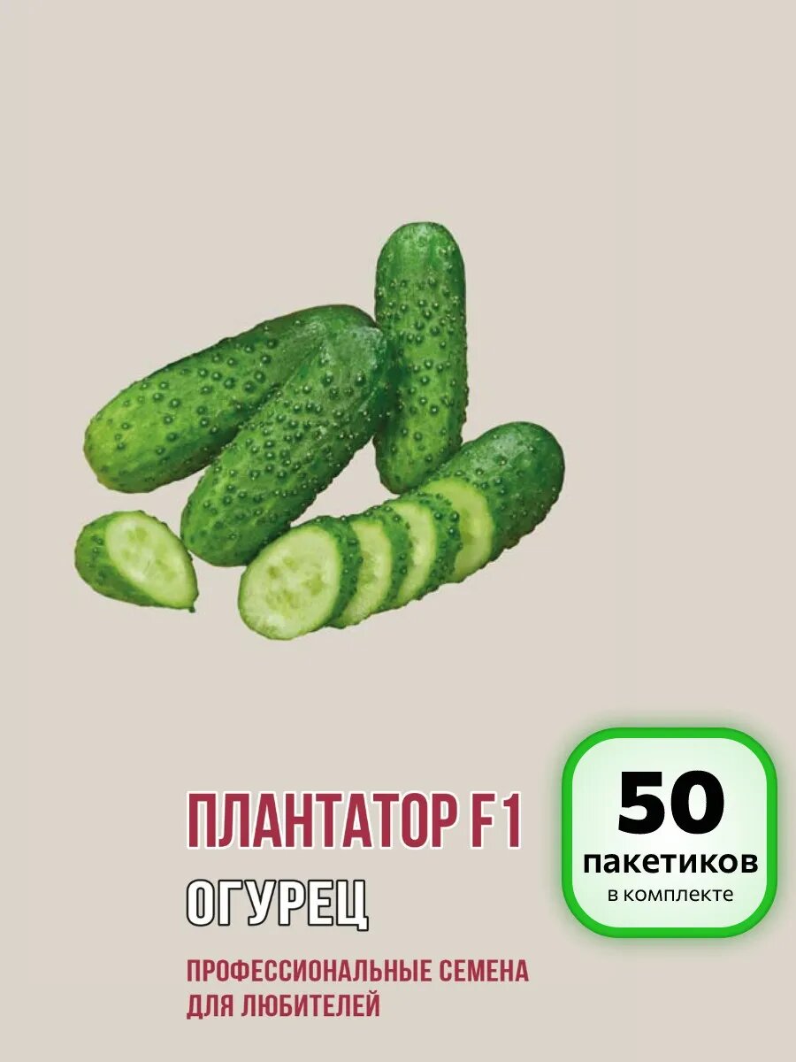 (50 шт.) - Семена Огурец плантатор F1 5шт
