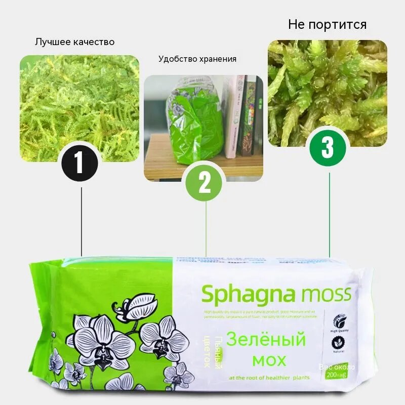 Мох