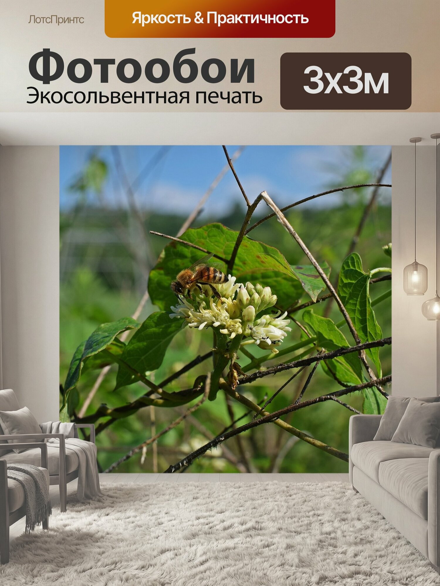 Фотообои "Пчелки на молочая, пчела, насекомое" 300x300 см. экосольвентная печать