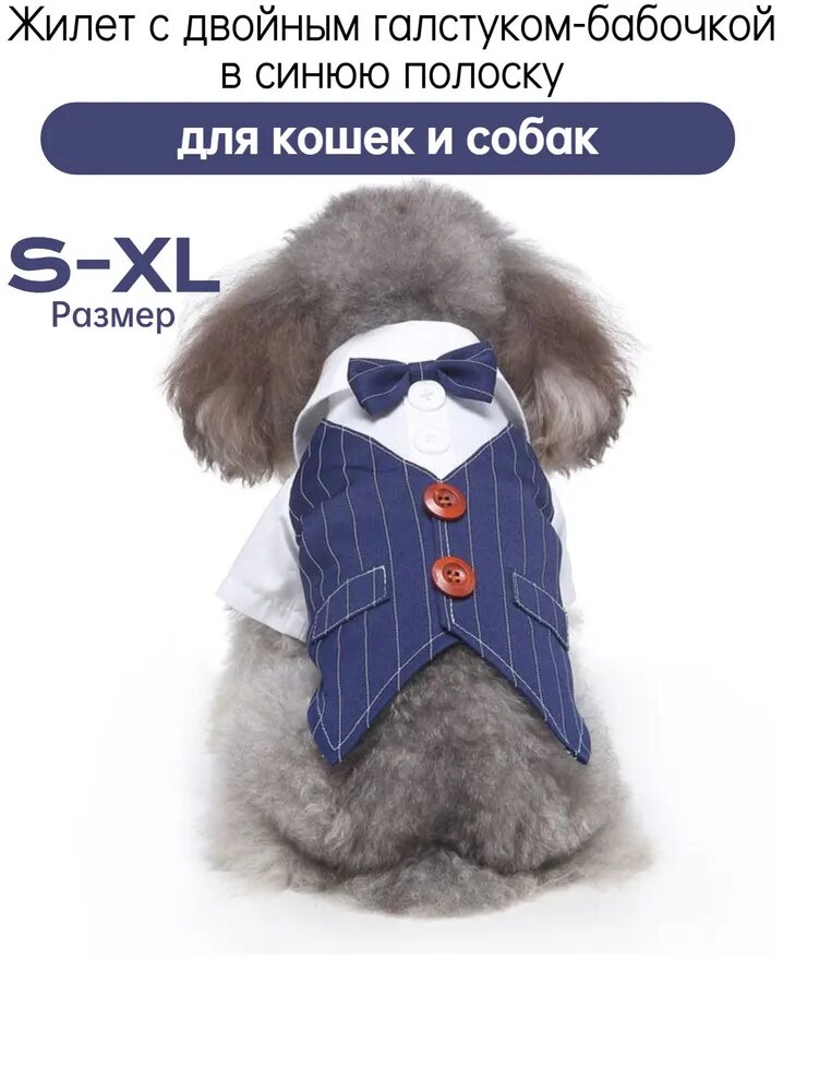 Костюм с бабочкой для котов и собак на праздник / Фрак для животных / Костюм для фотосессий